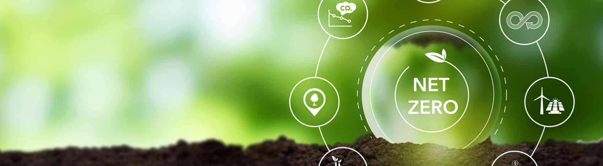 Digital transformation accelerates the energy transition toward green ...