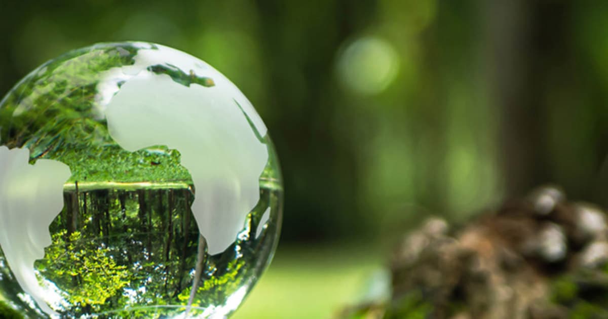 G20 and COP28: Accelerating Sustainability Strategies | Globant Blog