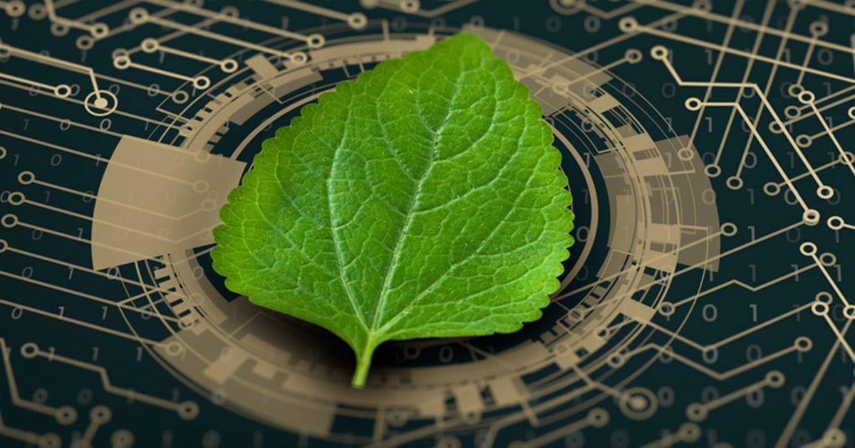 Sustainable AI: An eco-friendly approach to Green IT | Globant Blog